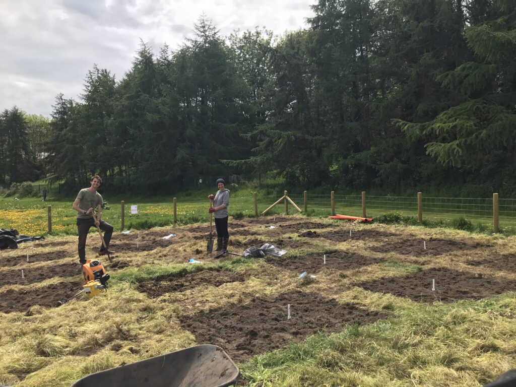 UPSURGE Project – The European Union Regenerative Urban Lighthouse Project