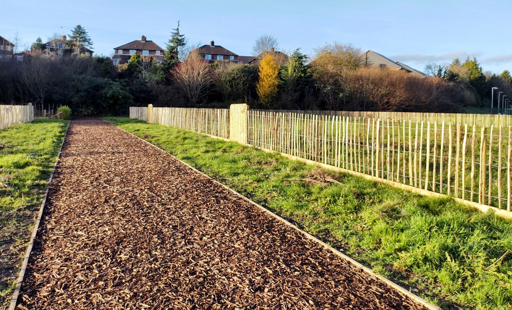 Agroecology Community Garden in Belfast – UPSURGE Project